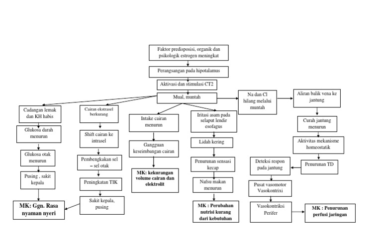 WOC Hiperemesis Gravidarum