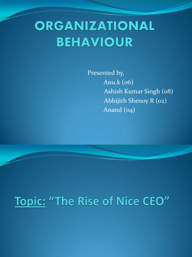 Organizational Behaviour | PDF
