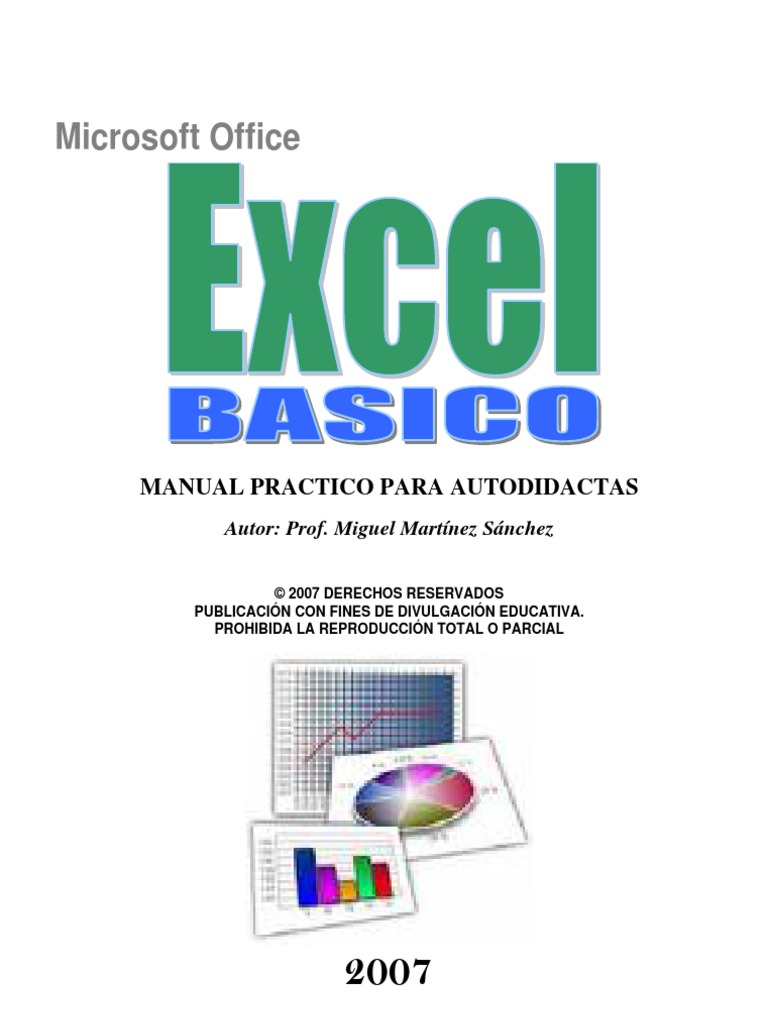 Excel B Sico | PDF | Métodos y materiales de enseñanza | Computadoras