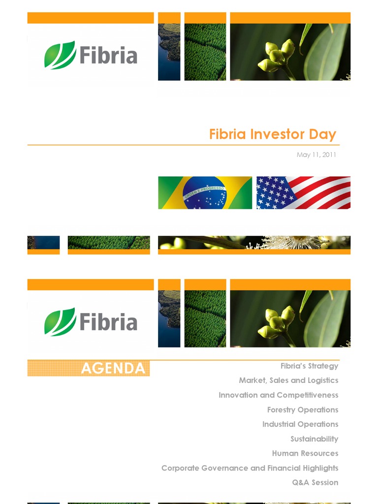 Fibria Investor Day | PDF | Pulp (Paper) | Euro