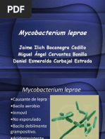 Prueba de Mitsuda en Lepra | PDF | Citocina | Sistema inmune