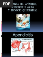 Signos de Exploración Abdominal | PDF | Abdomen | Gastroenterología