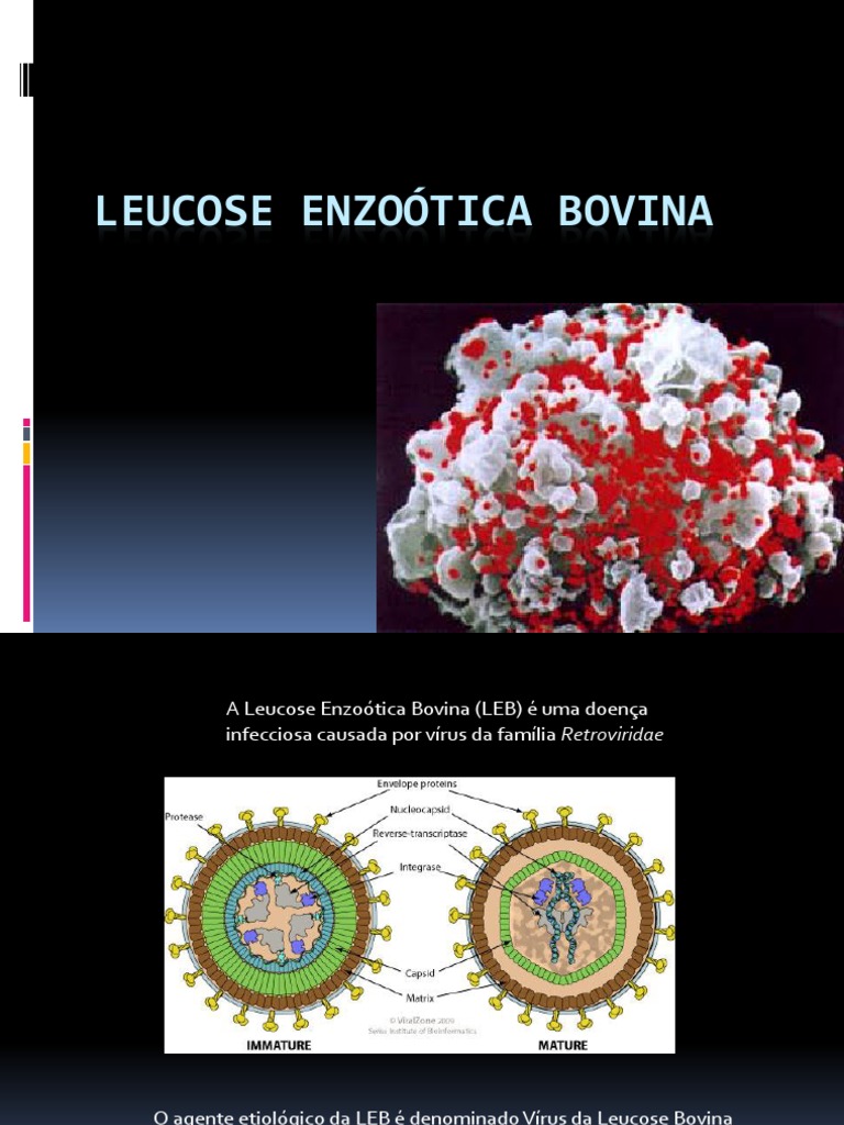 Leucose Enzoótica Bovina | PDF | Reação em cadeia da polimerase | Leite