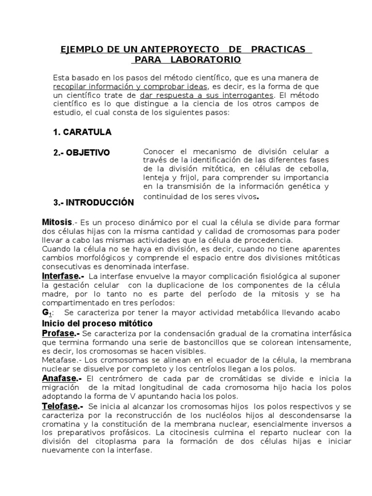 Ejemplo de Un Anteproyecto y Reporte de Laboratorio Primer | PDF | Mitosis | Cromosoma