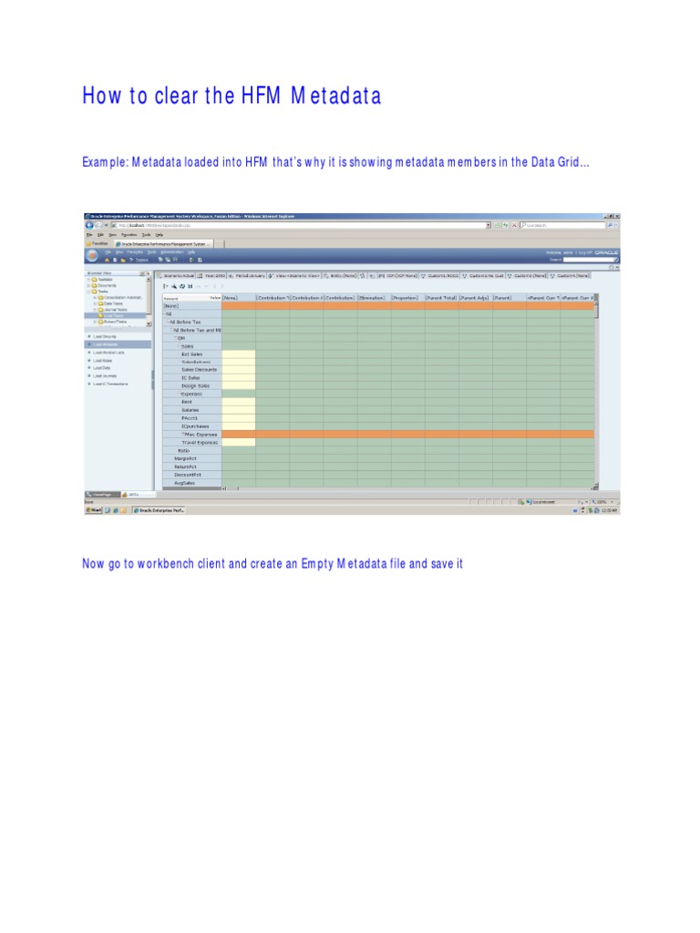 Clearing HFM Metadata Process | PDF | Computers