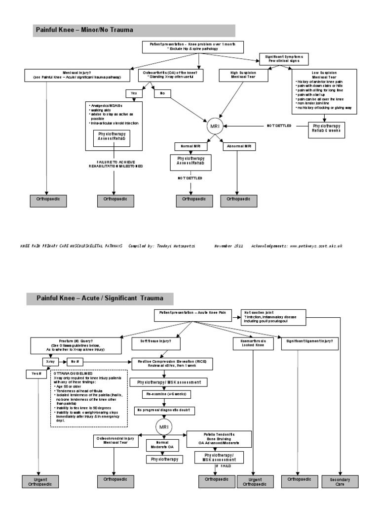 Knee Pain Musculoskeletal Pathway in A Primary Care Setting by TENDAYI ...