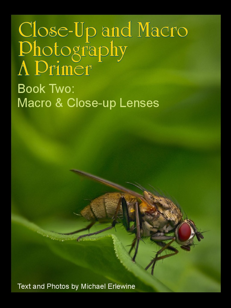 Close-Up and Macro Photography - A Primer - Book Two | PDF | Career ...