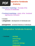 ZNN Retrograde Nail | PDF | Screw | Hip