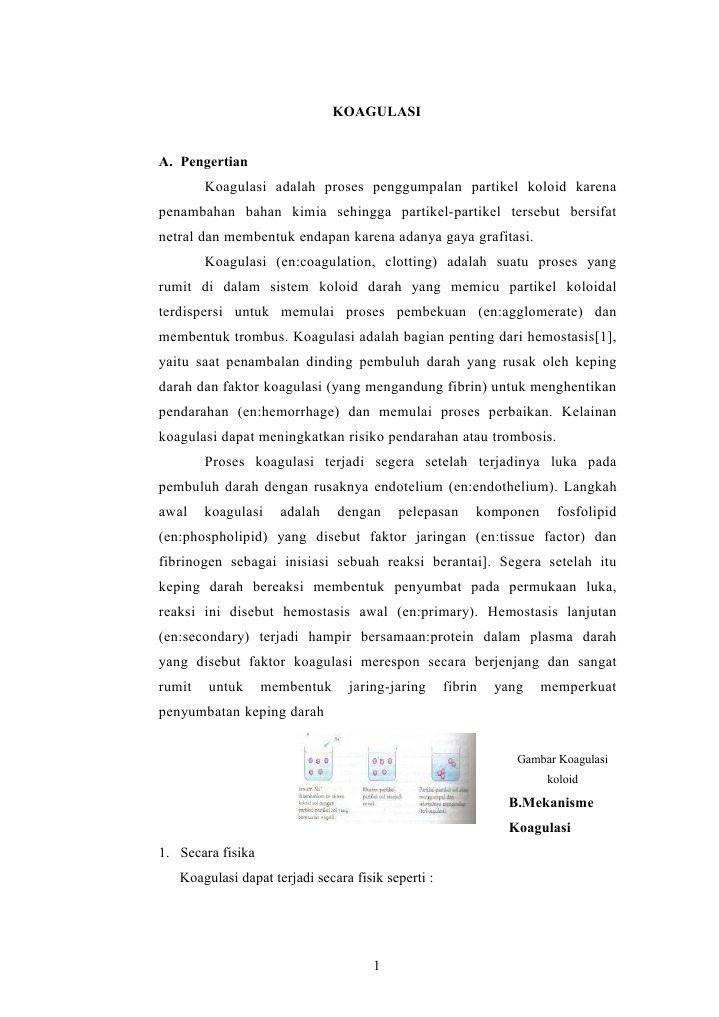 KOAGULASI | PDF