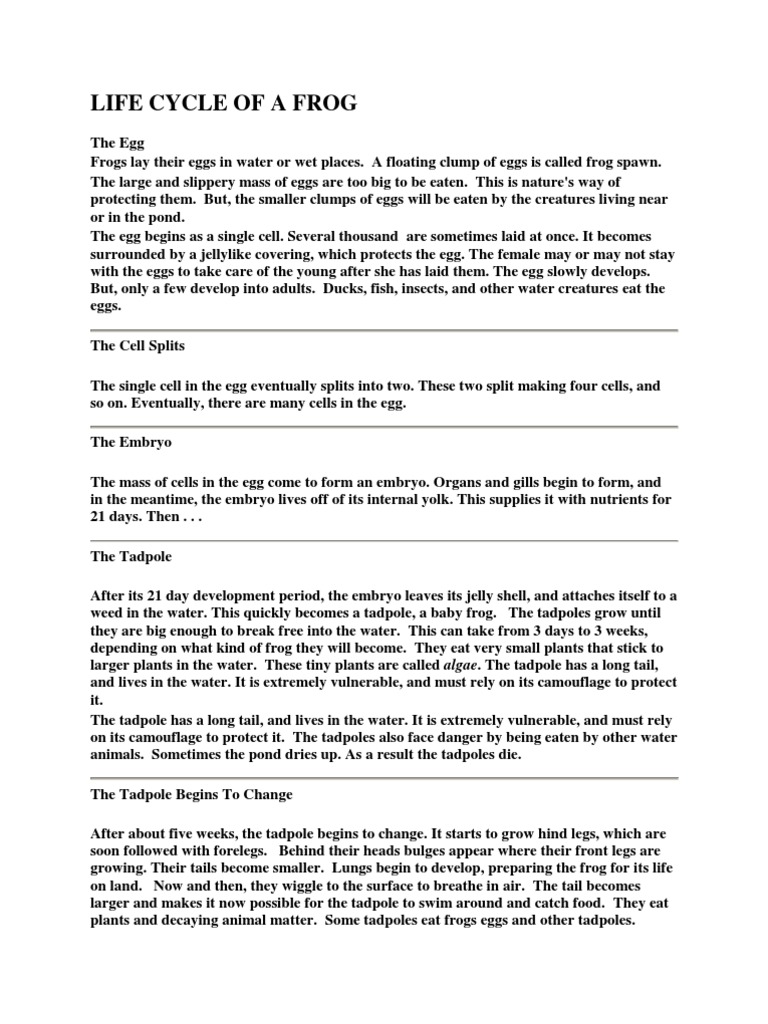 Life Cycle of A Frog | PDF | Egg | Frog