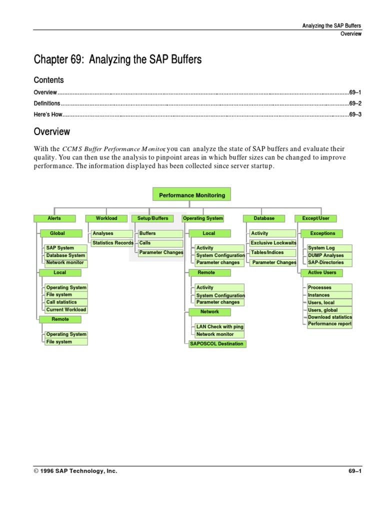 Analyzing The SAP Buffers | PDF