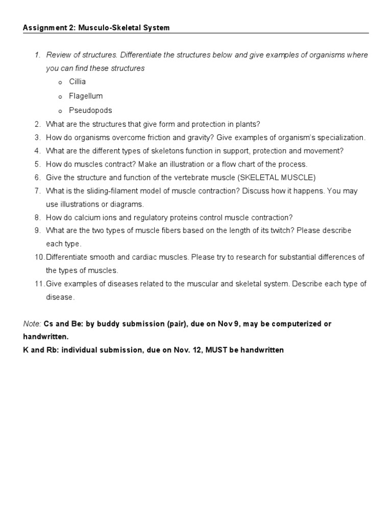 Assignment 2 Musculo-Skeletal System | PDF | Skeletal Muscle | Muscle