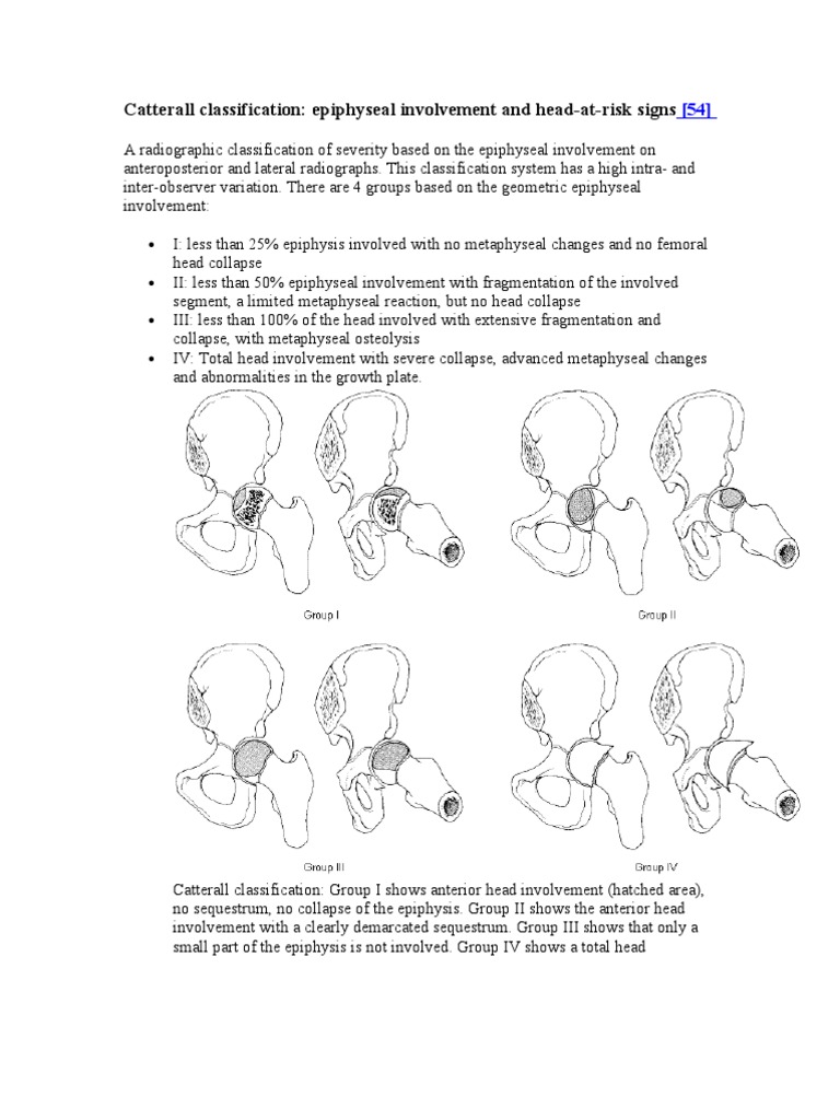 Catterall Classification | PDF | Medical Specialties | Skeletal System