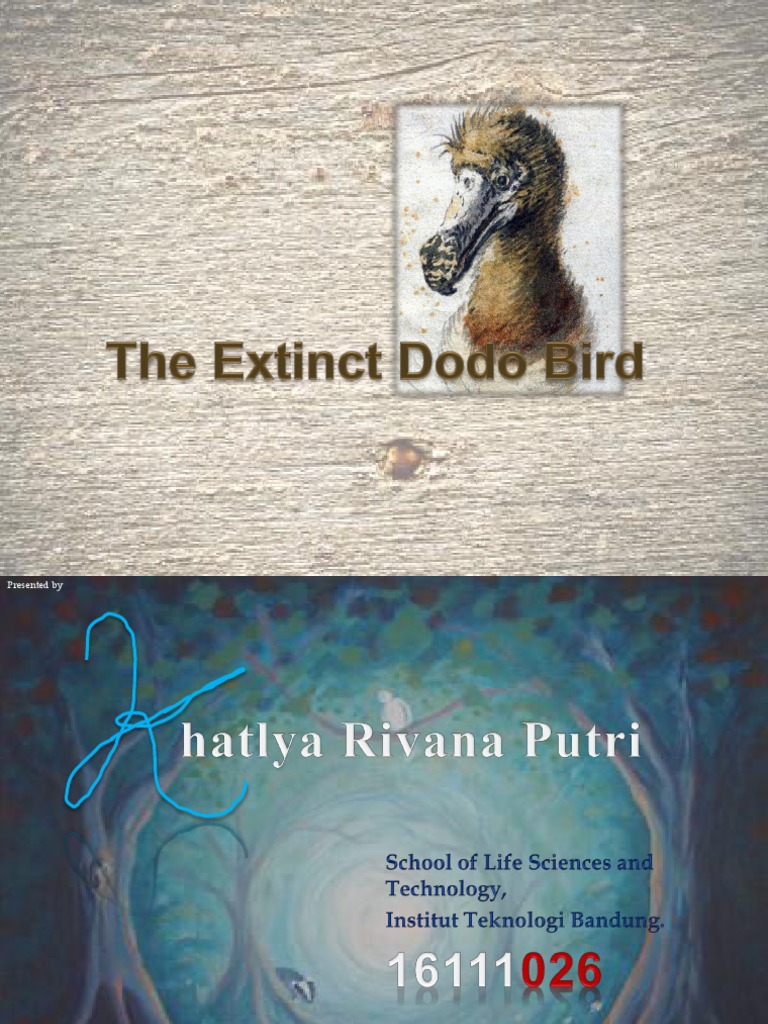 Dodo Bird: Facts and Extinction Insights | PDF | Birds | Paravians