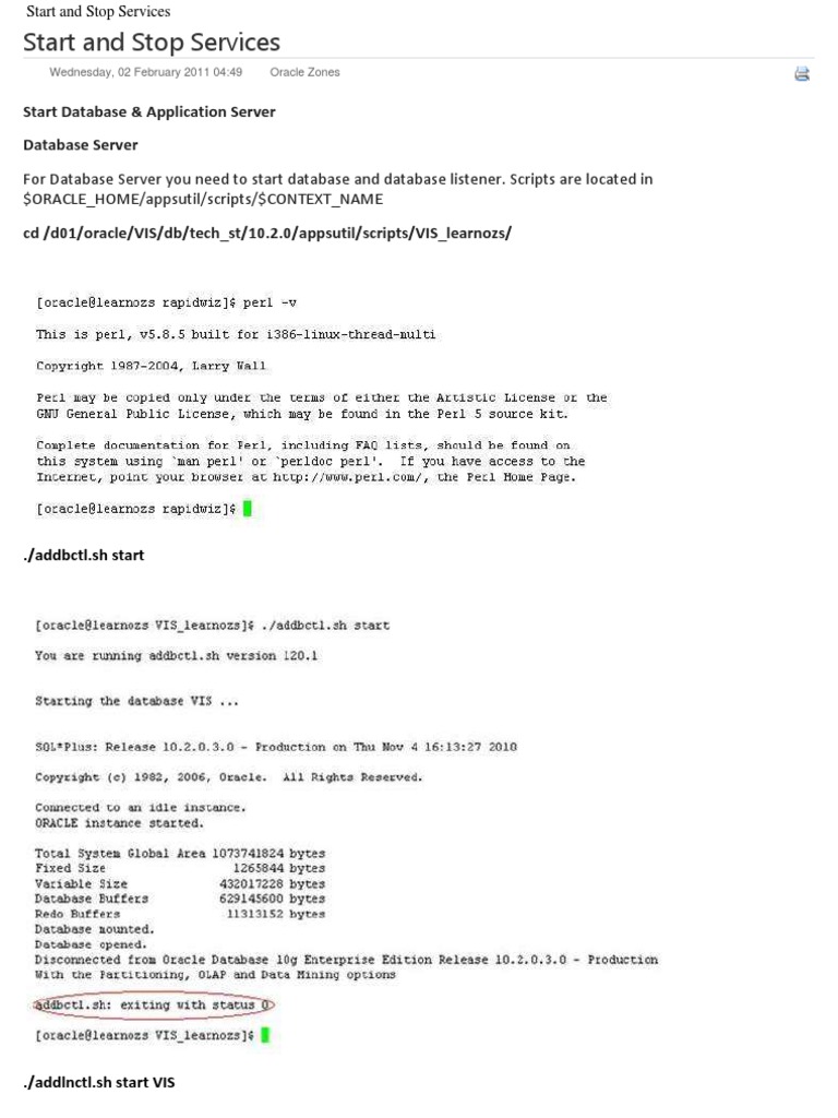 Application Services | PDF | Scripting Language | Application Software