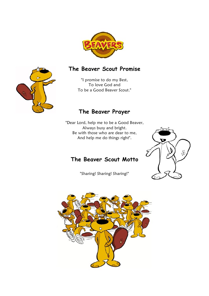 The Beaver Scout Promise | PDF