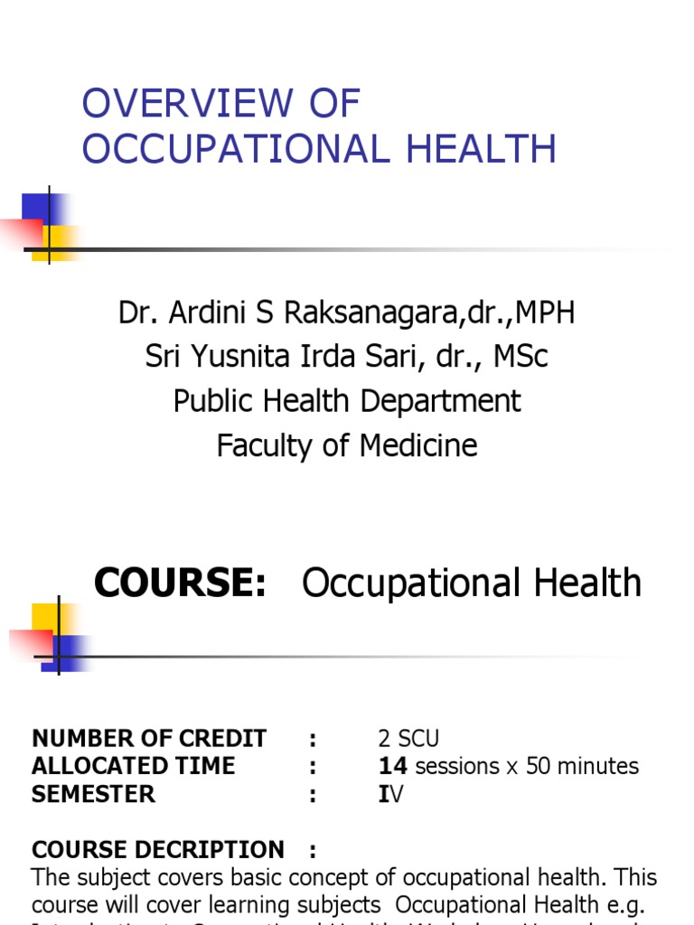 1.1 Overview Occupational Health | PDF