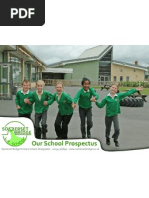 Primary School Prospectus Sample | PDF | Special Education | Schools