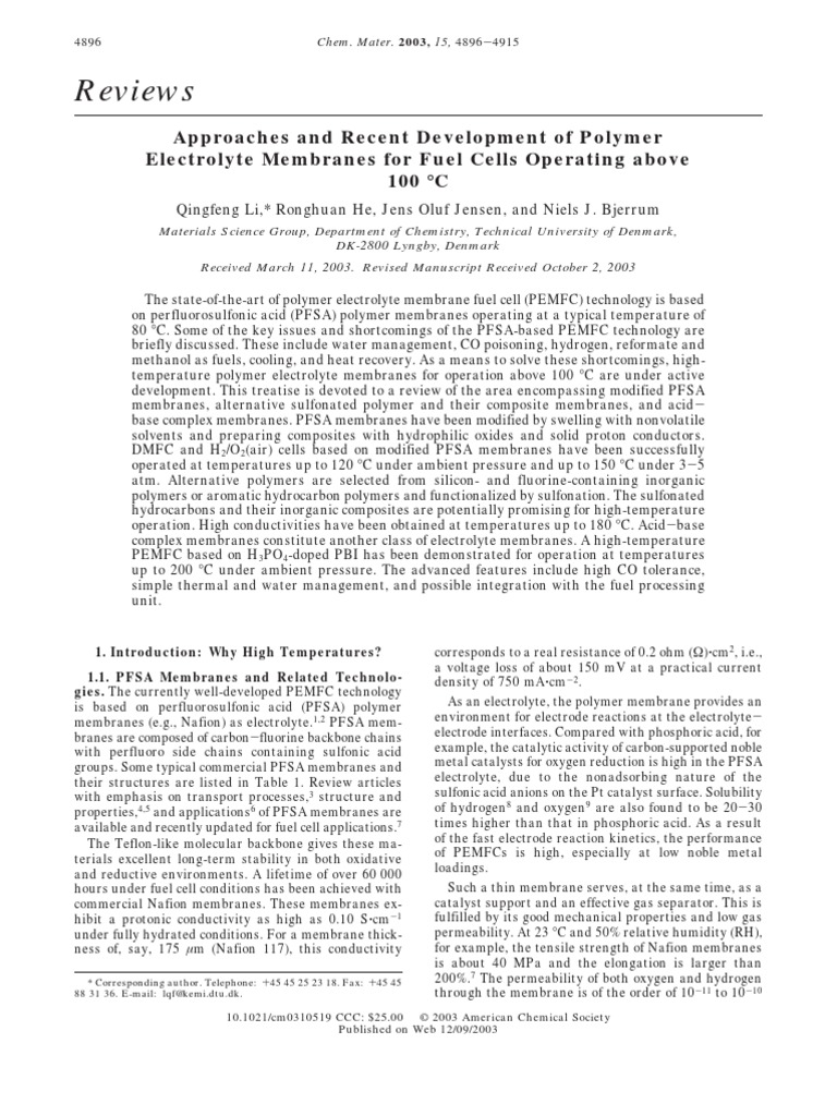 Bjerrum Review | PDF | Proton Exchange Membrane Fuel Cell | Fuel Cell