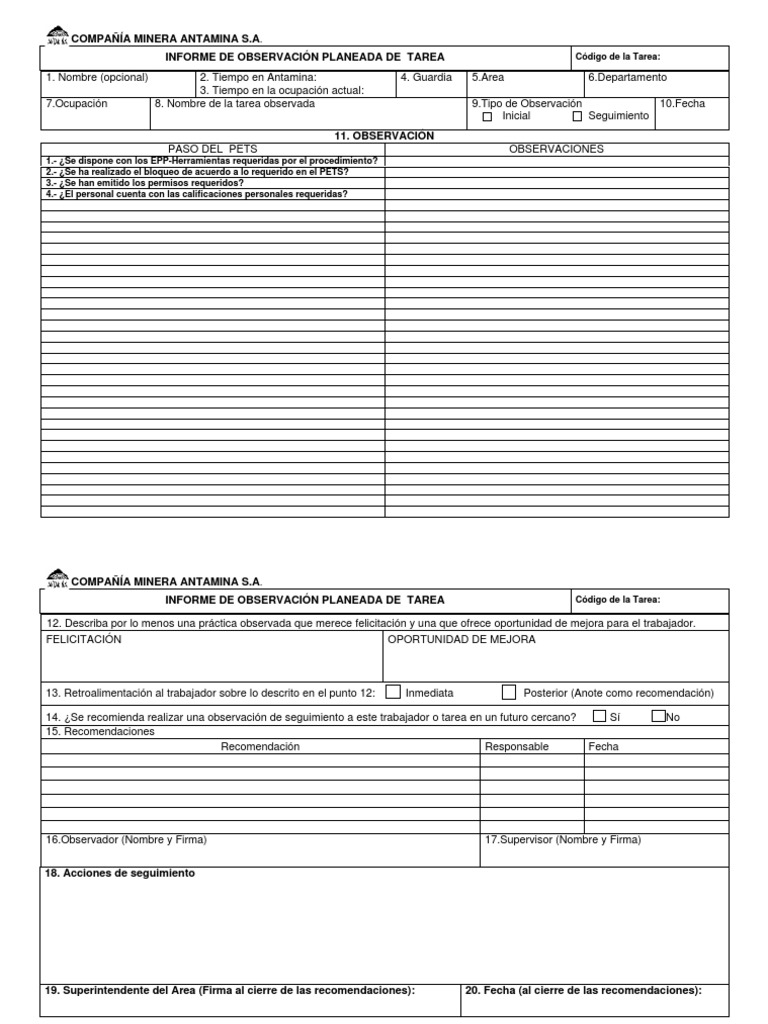 Formato OPT 2006 | PDF | Crecimiento personal y profesional | Informática