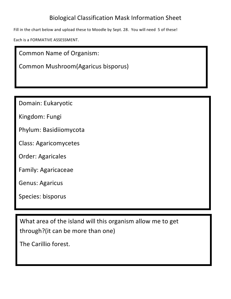 Biological Classification of Common Mushroom | PDF