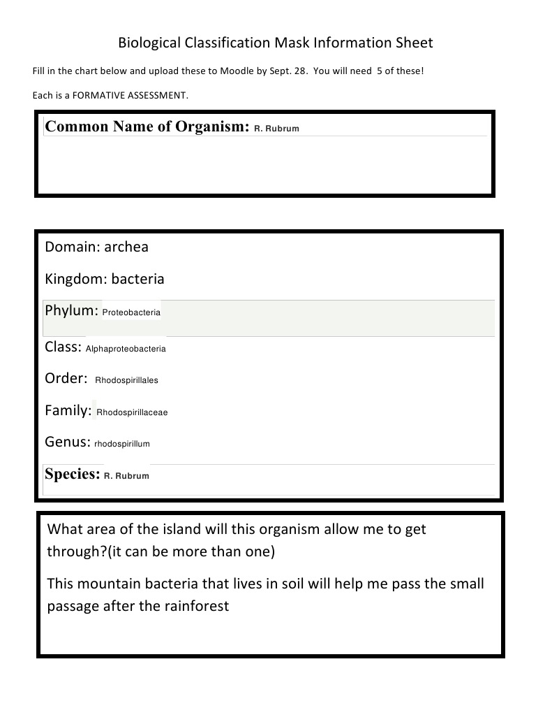 Biological Classification Assessment Guide | PDF | Home & Garden | Wellness