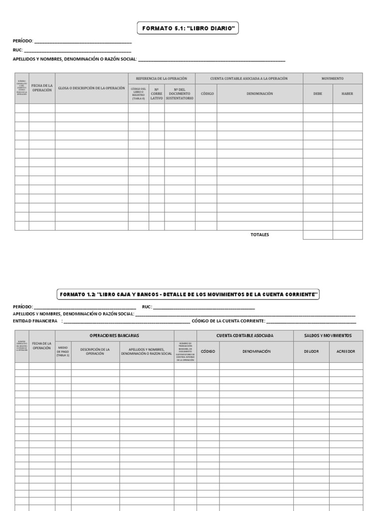 Formatos de Contabilidad | PDF | Depreciación | Contabilidad