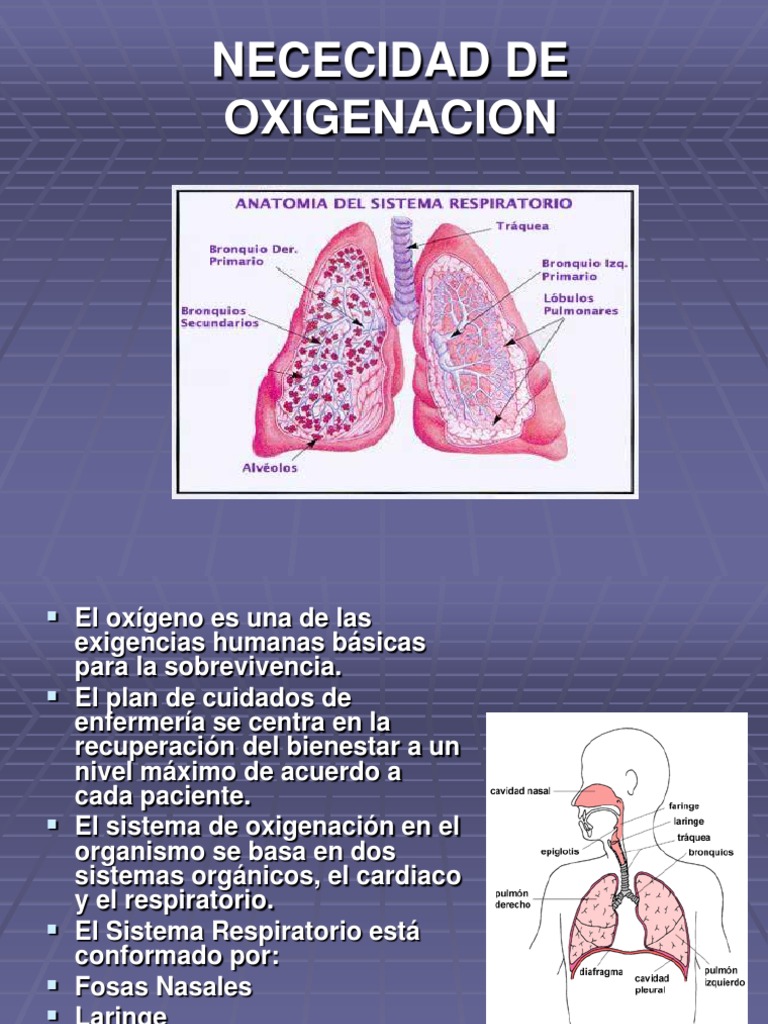 Necesidad de oxigenación | Sistema respiratorio | Respiración