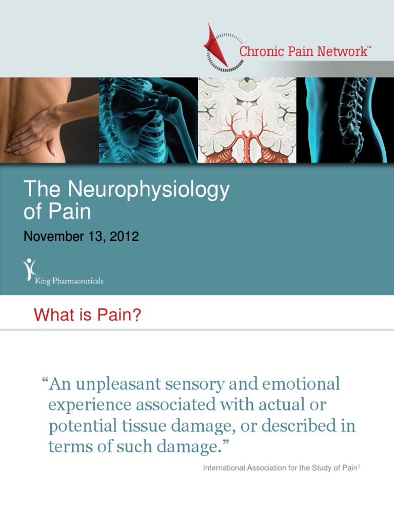 The Neurophysiology of Pain | PDF | Pain | Action Potential