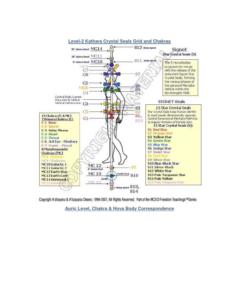15 Chakra System | PDF