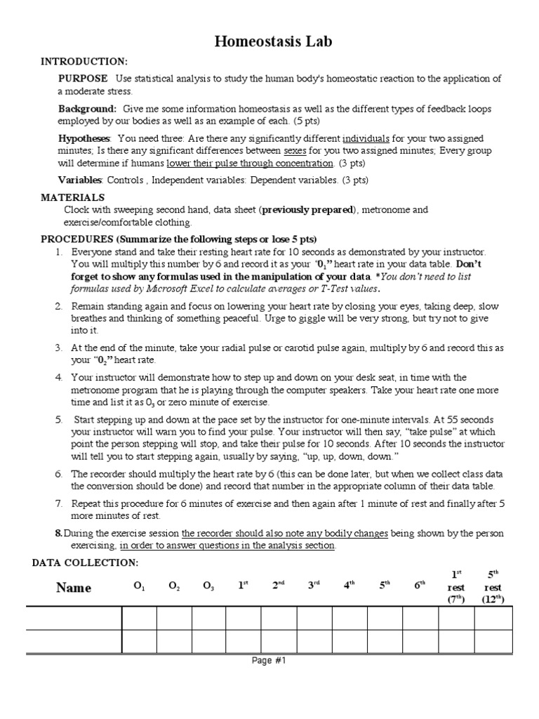Homeostasis Lab PDF | PDF | Heart Rate | Homeostasis
