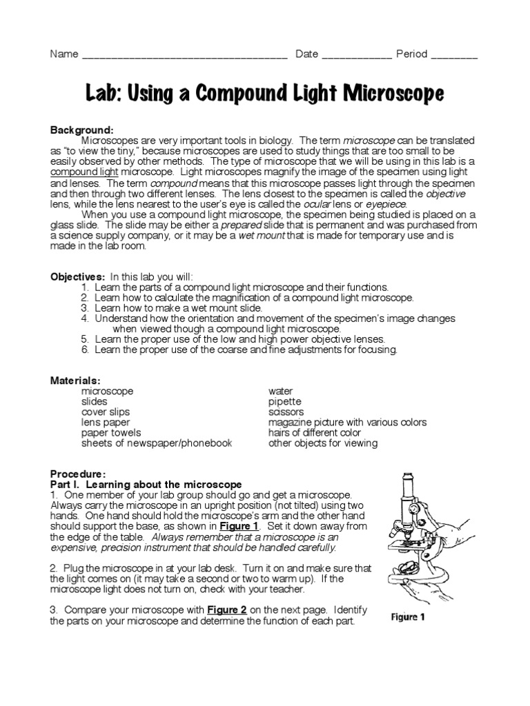 Using Microscope Lab PDF | PDF | Teaching Methods & Materials | Home ...