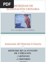 Medición y Características de Diuresis | PDF | Orina | Sodio
