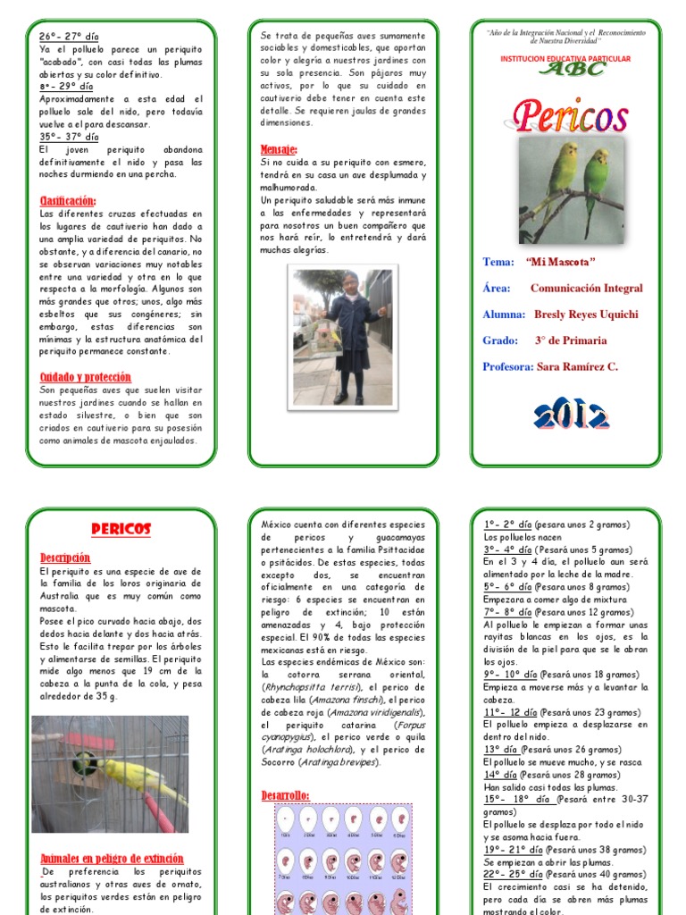 Triptico Mi Mascota1 | Loro | Aves