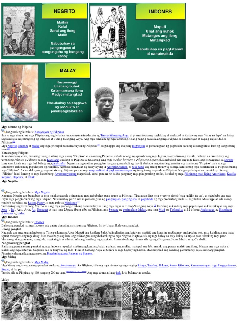 Mga Ninuno NG Pilipino | PDF