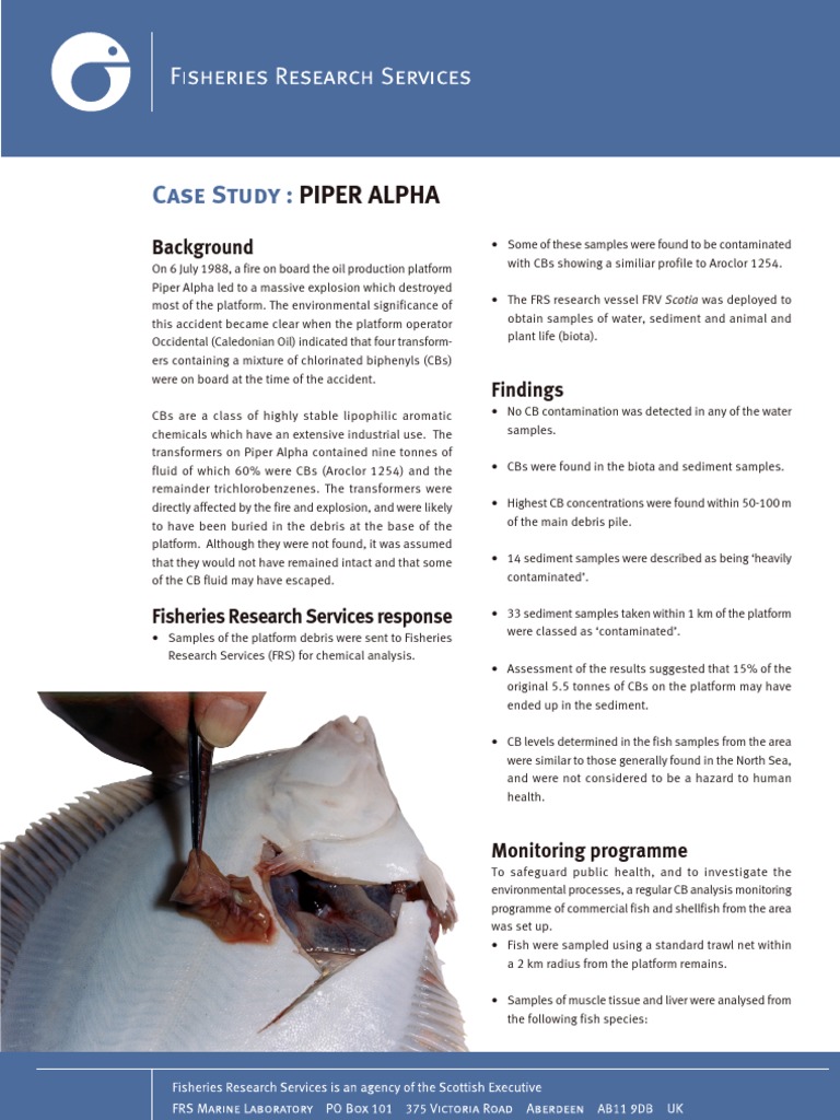 Case Study:: Piper Alpha | PDF | Polychlorinated Biphenyl | Cod