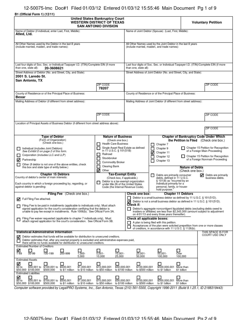 Voluntary Bankruptcy Petition Form | PDF