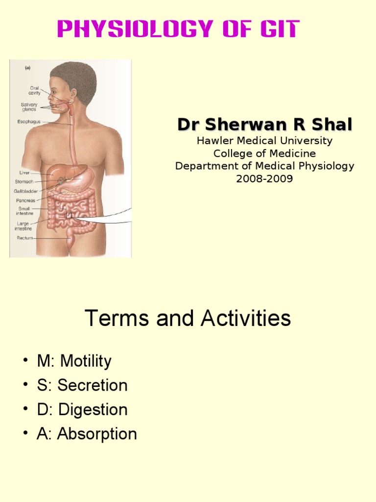 All About GIT Physiology | PDF | Saliva | Stomach
