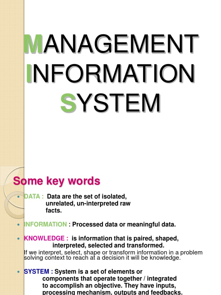 Management Information System | Download Free PDF | Databases | System