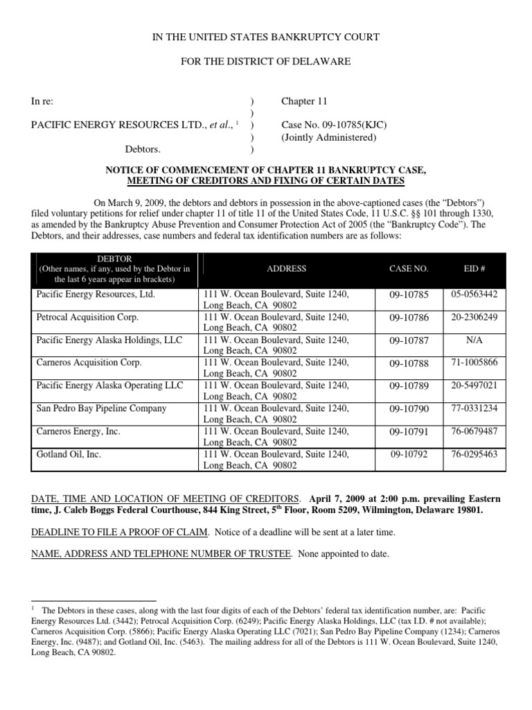 Notice of Commencement of Chapter 11 Bankruptcy Case, Meeting of ...