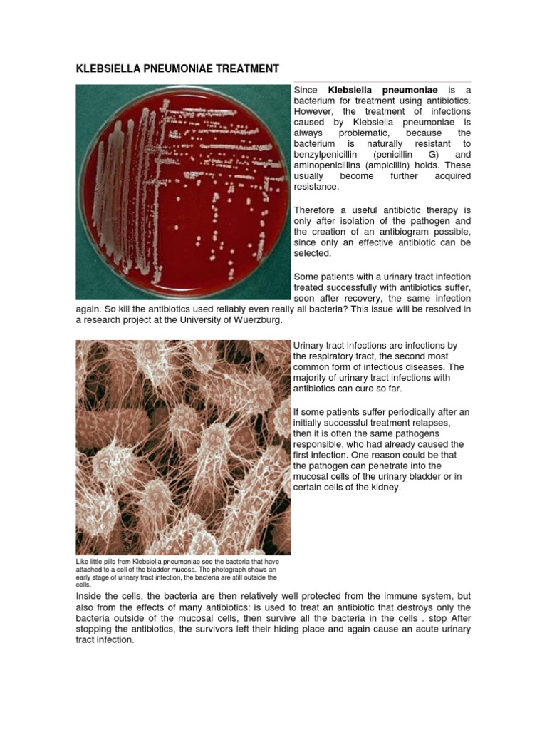 Klebsiella Pneumoniae Treatment | PDF | Infection | Antibiotics