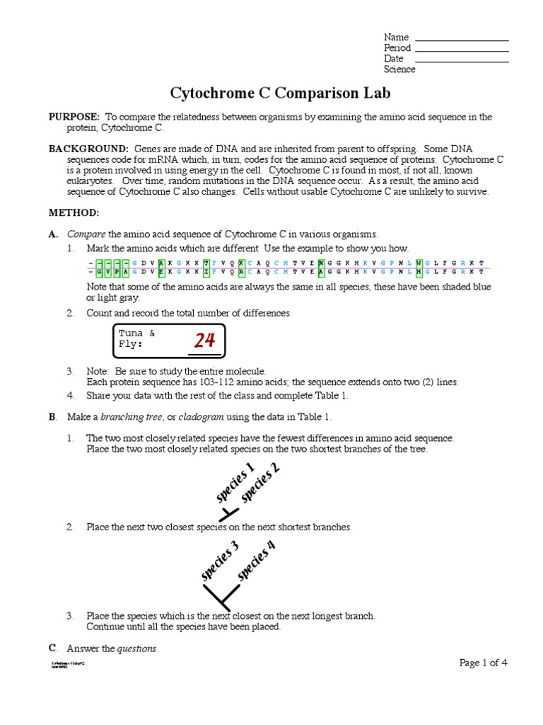 724 - Cytochrome C Lab Student | PDF | Cytochrome C | Proteins