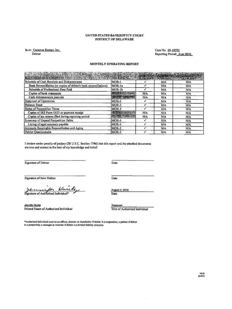Monthly Operating Report | PDF | Retained Earnings | Equity (Finance)