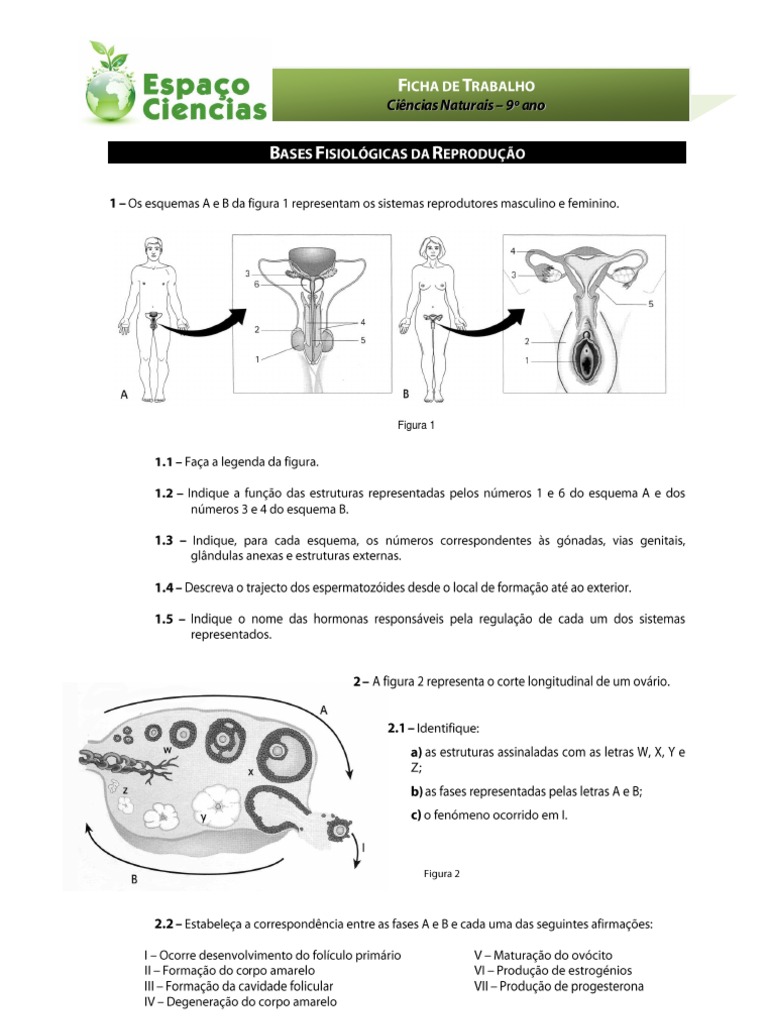 CN9-ficha-AP Reprodutor | PDF