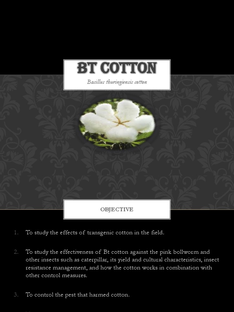 Understanding Bt Cotton and Its Benefits | PDF | Biology | Life Sciences