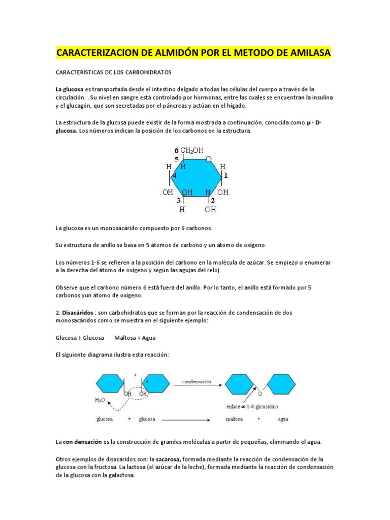Caracterizacion De Almidon Por El Metodo De Amilasa Pdf Almidón