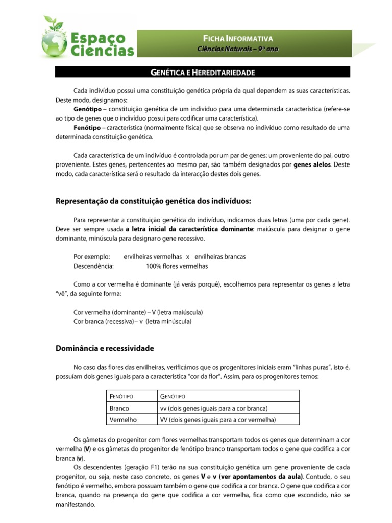 CN9 - Hereditariedade - Informativa | PDF