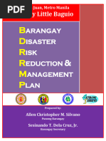 Sample BDRRMC PLAN | PDF