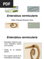 Enterobius vermicularis: Ciclo y Tratamiento | PDF | Epidemiología ...