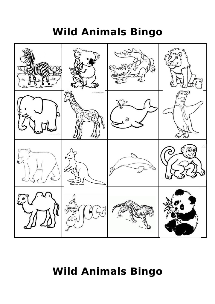 Wild Animals Bingo | PDF